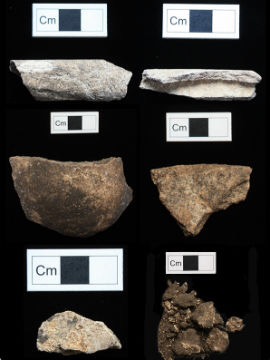 Stone Age bones of Britain's last hunter gatherers are discovered ...