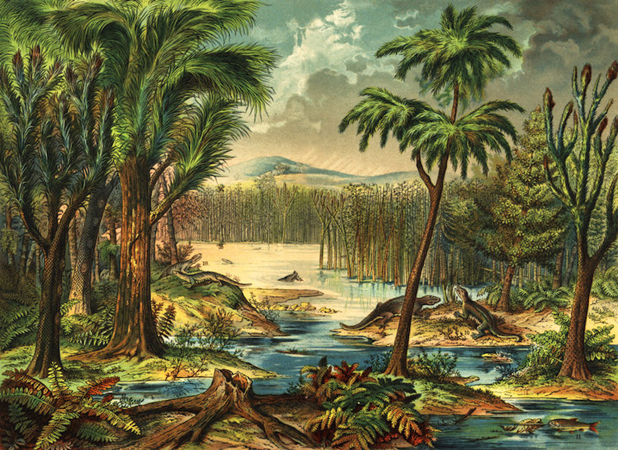 How climate change 307 million years ago paved the way for early ...
