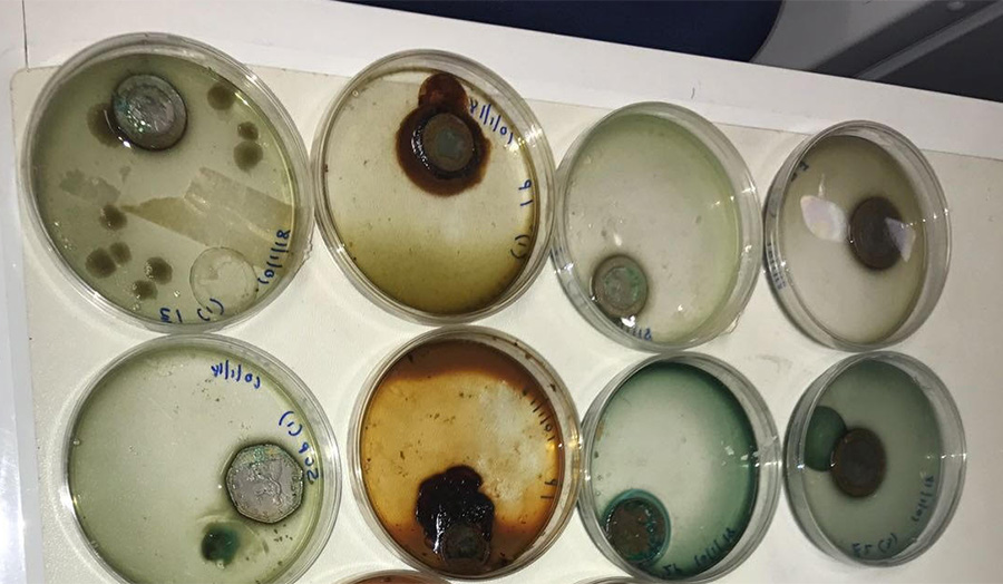 Dirty money-Superbugs found on the notes and coins we handle - About ...