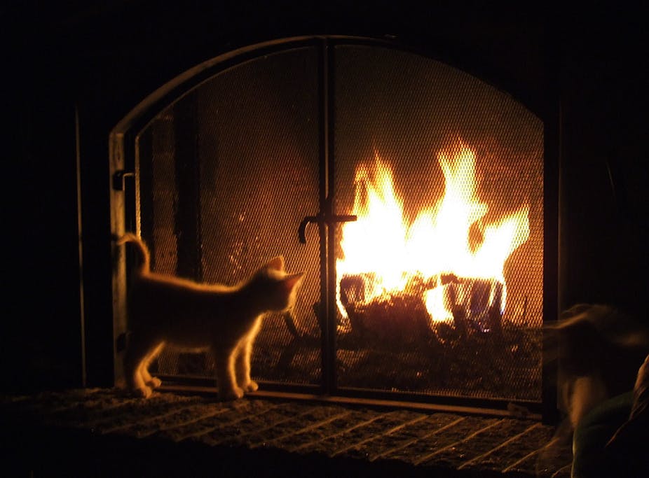 Winter is Coming - The Top 5 Ways to Spend Chilly Evenings at Home ...