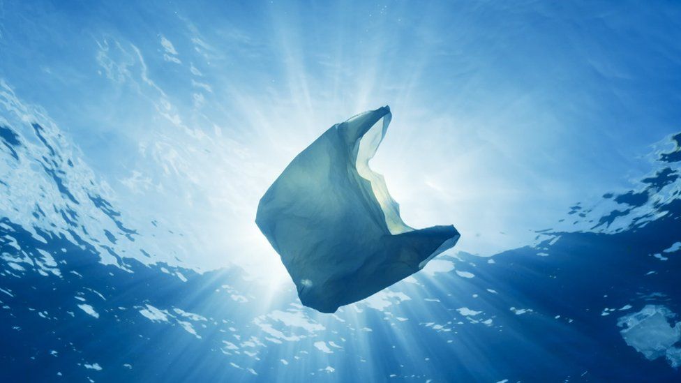 Will the true price of convenience stop Britons from damaging the Blue ...