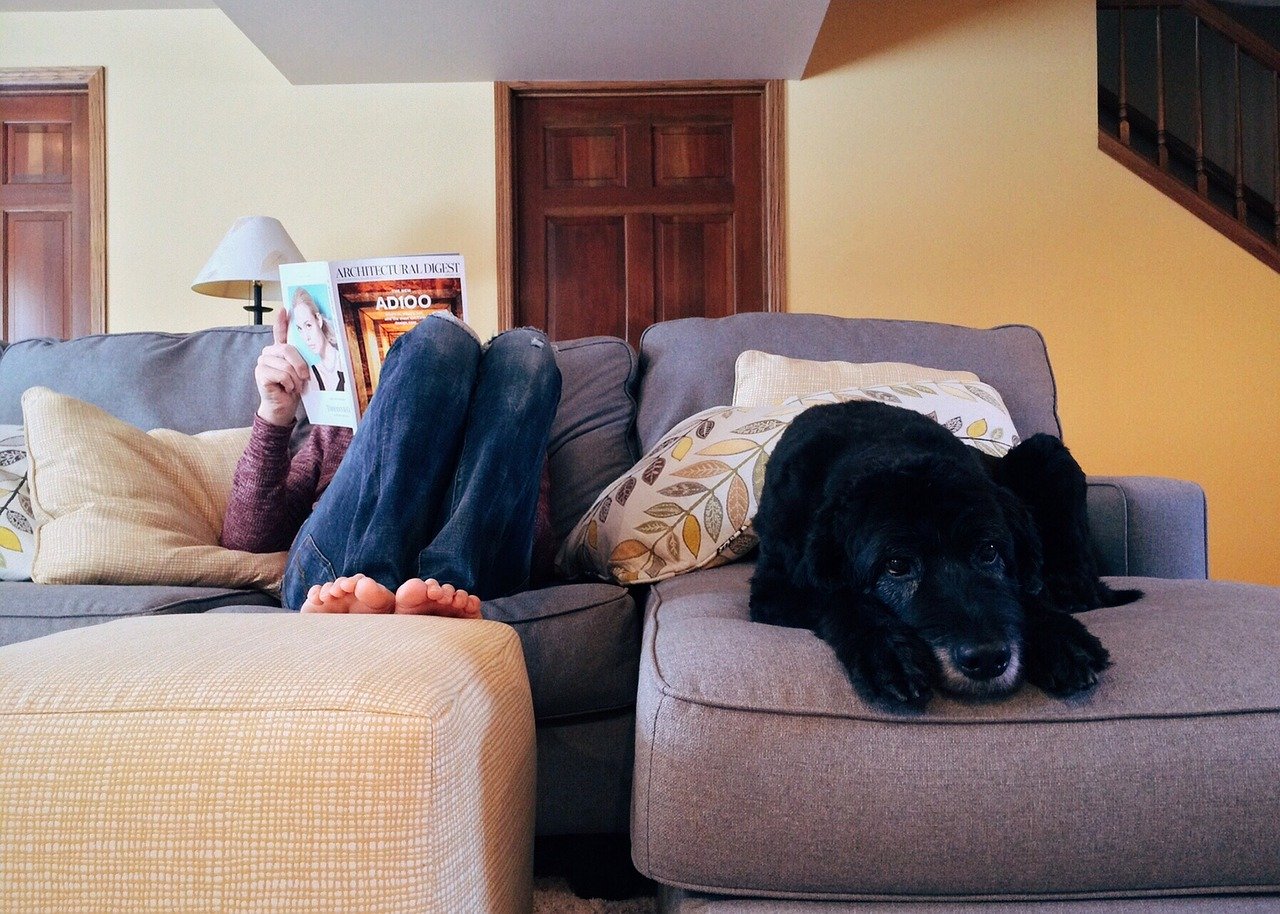 How To Make Sure Your Home Stays Nice And Warm This Winter - About ...