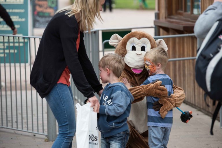Monkey Forest Celebrates 15 Years of Success and its just an hour from ...