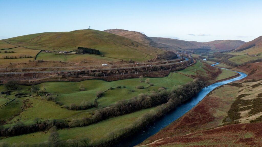 Green mapping project set to boost roadside biodiversity - About Manchester