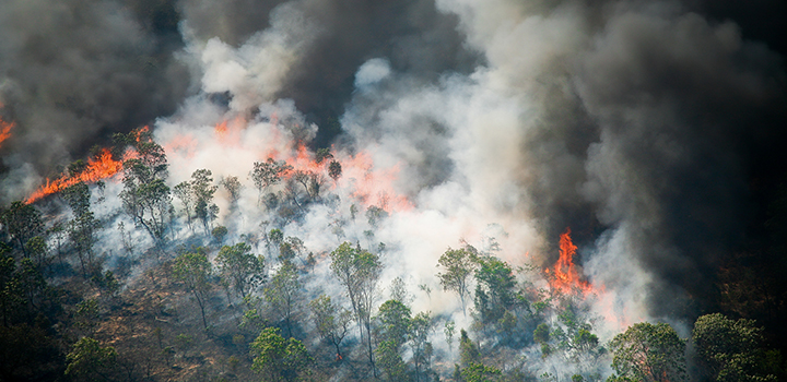 Human activity has degraded more than a third of remaining Amazon ...