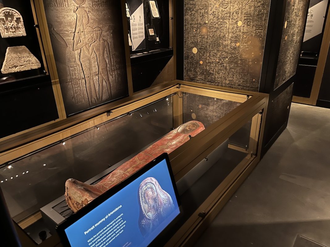 Images - A big welcome back for Manchester Museum - About Manchester