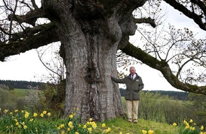 £2.5 million tree planting fund opens to commemorate the Coronation of ...