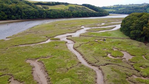 Protection of saltmarshes is vital for climate change mitigation ...