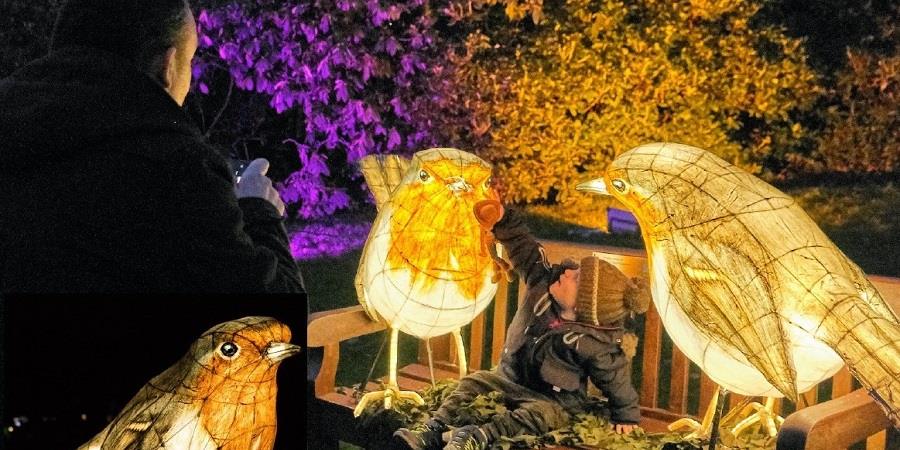 Magical night-time nature trail at Hollingworth Lake that’s perfect for ...