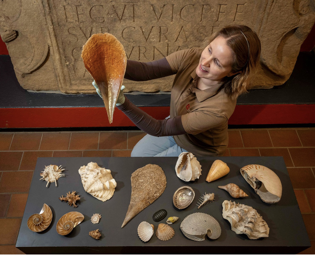 English Heritage launches fundraiser to care for 1 million historical ...